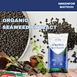 NPK Fertilizer-Seaweed Fertilizer NPK-GREENFOR